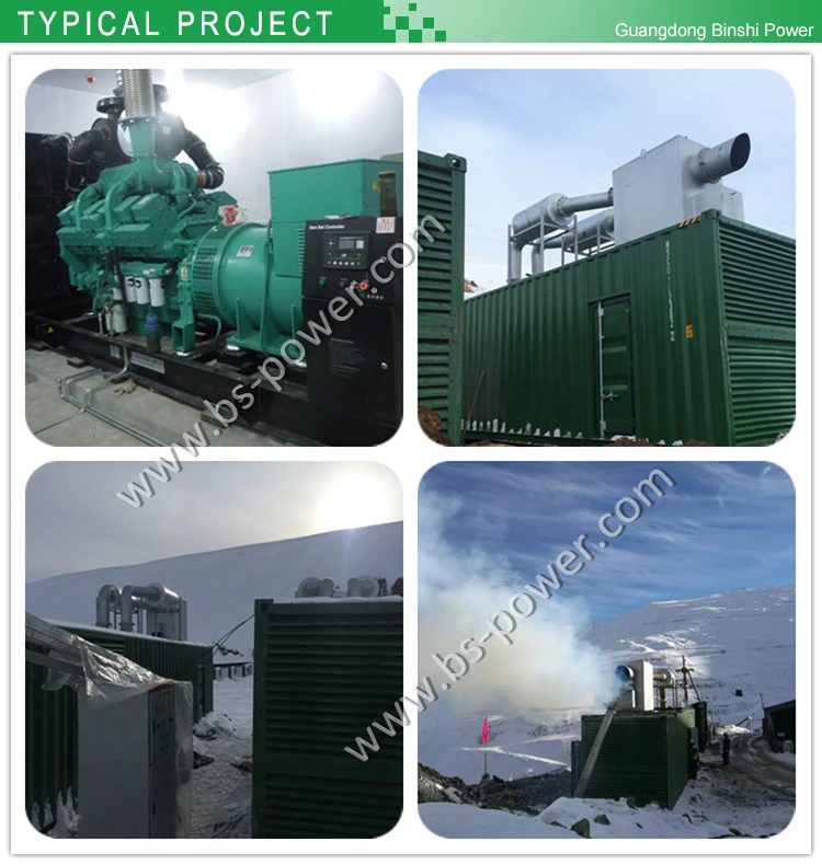 15kw Portable Gas Generator Dual Fuel Generator Set Lpg Biogas ...