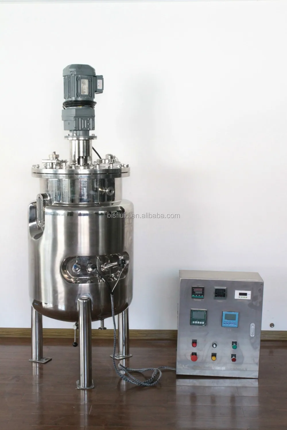 Industrial Steel Lactic Acid Fermentation Tank - BLS Bioreactor