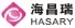 Company Overview - Wuhan Hasary Equipment Co., Ltd.