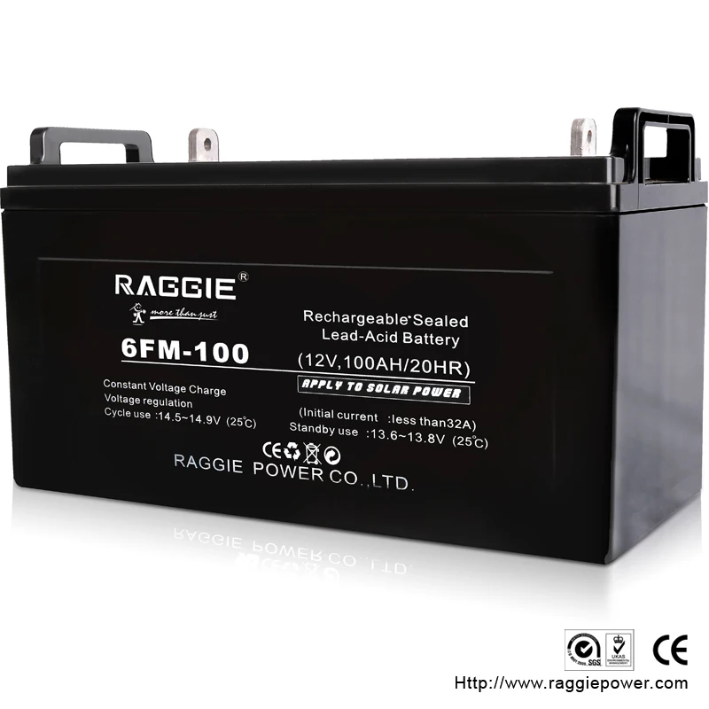 RAGGIE 12V 100AH Rechargeable Deep-Cycle Maintenance Free Lead Acid ...