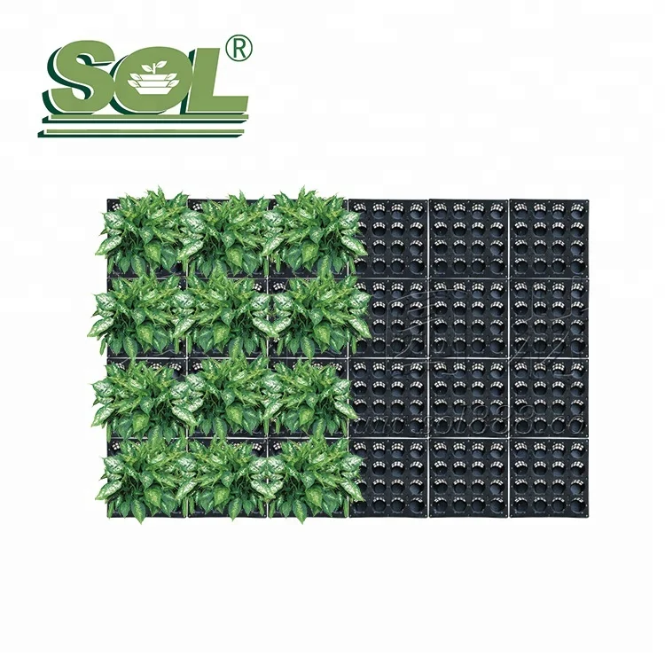 Modular Green Wall System - Decorative Pots & Planters