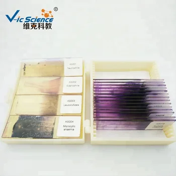 Microscope Hematology Glass Slides Blood Smear Prepared Slides Medical ...