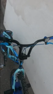 Sl-fs20127 Free Style Bmx Sport Bike - Buy 20inch Bmx Freestyle Bike ...