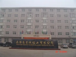 Company Overview - Gaoyang County Rongyi Blanket Industry Co., Ltd.