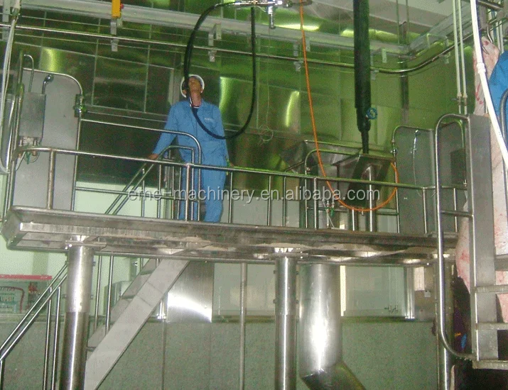 Cattle Slaughterhouse Abattoir Beef Line Cattle Carcass Re-hanging ...