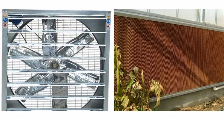 Large Wet Wall Evaporative Cooling Panels Pad and Fan for Greenhouses ...