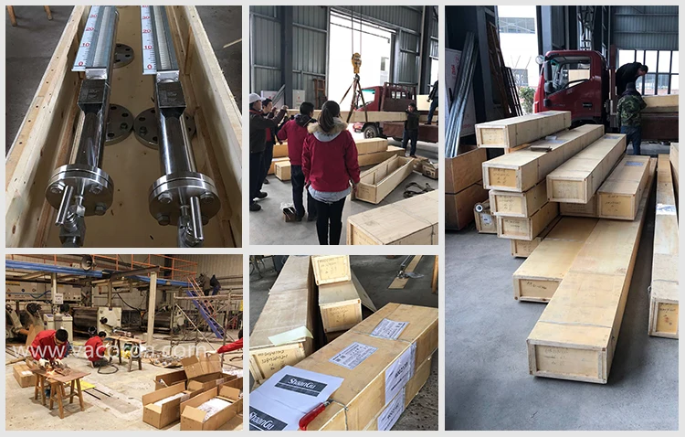 Explosion Proof Proline Promass F300 Coriolis Flowmeter