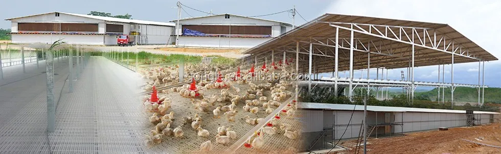 Galvanized Automatic Poultry Silos - Efficient Feeding