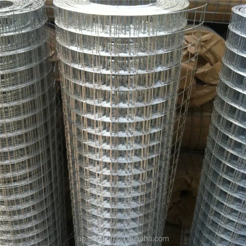 Welded Wire Mesh Untuk Tikus 1x1 Inch Aperture Galvanis Dilas Wire Mesh ...