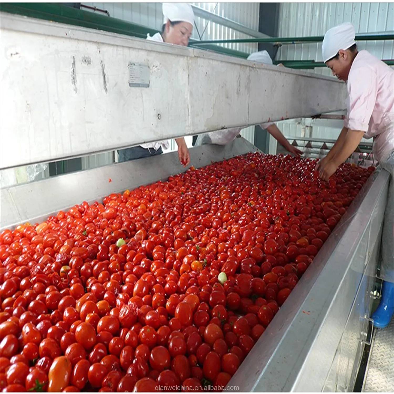 Efficient Tomato Paste Production Line - QIANWEI Machines