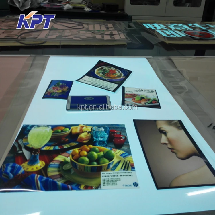 Large Size Electroluminescent EL Lighting Panel Technology