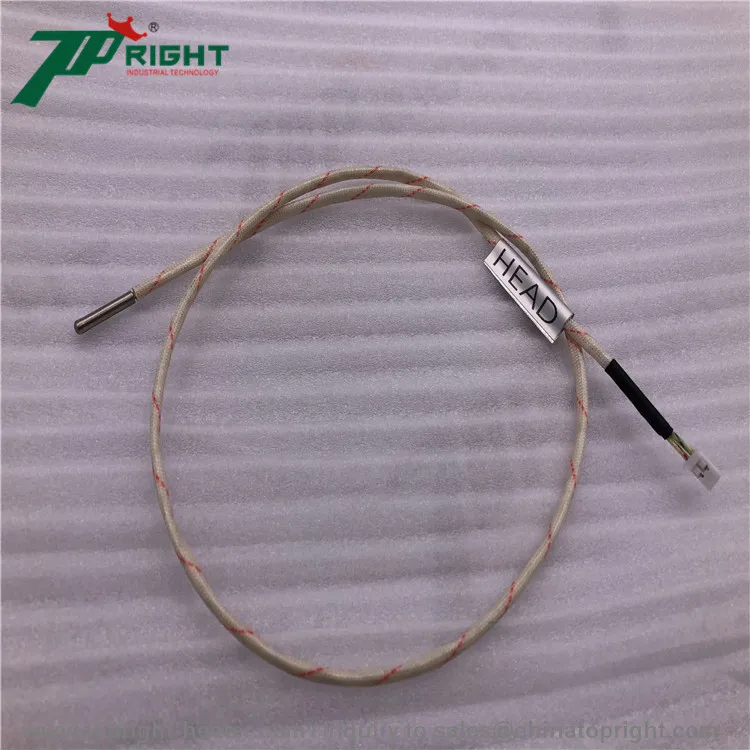 Industrial Duplex RTD PT100 Temperature Sensor - Topright
