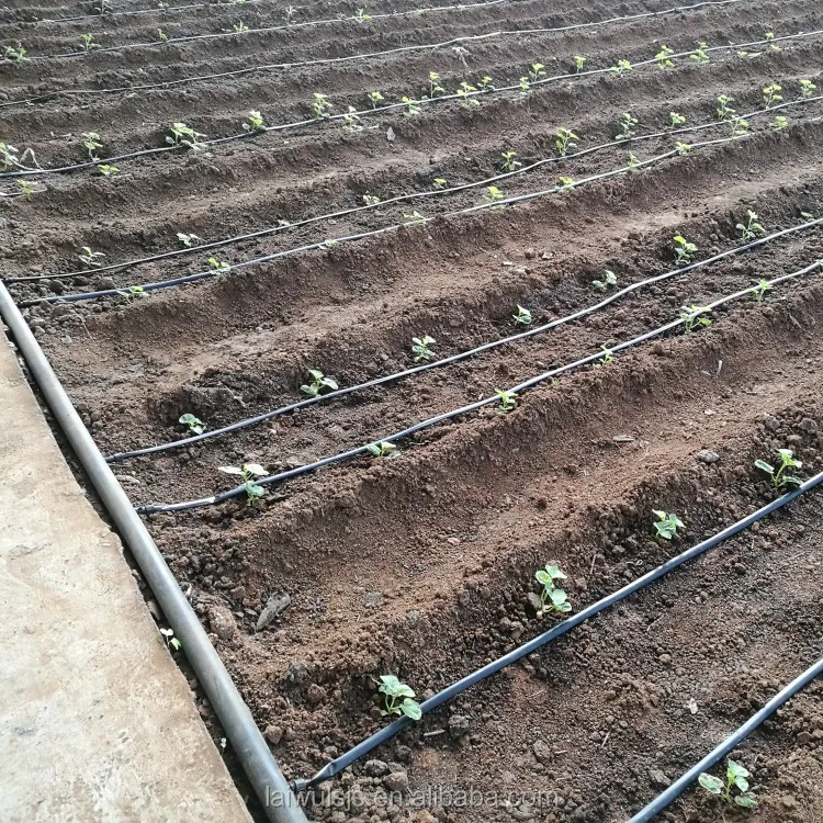 Water Saving Drip Irrigation Tape System Belt Patch Type Price - Buy ...