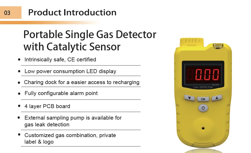 Portable Natural Gas Monitor - Methane & Propane Detector