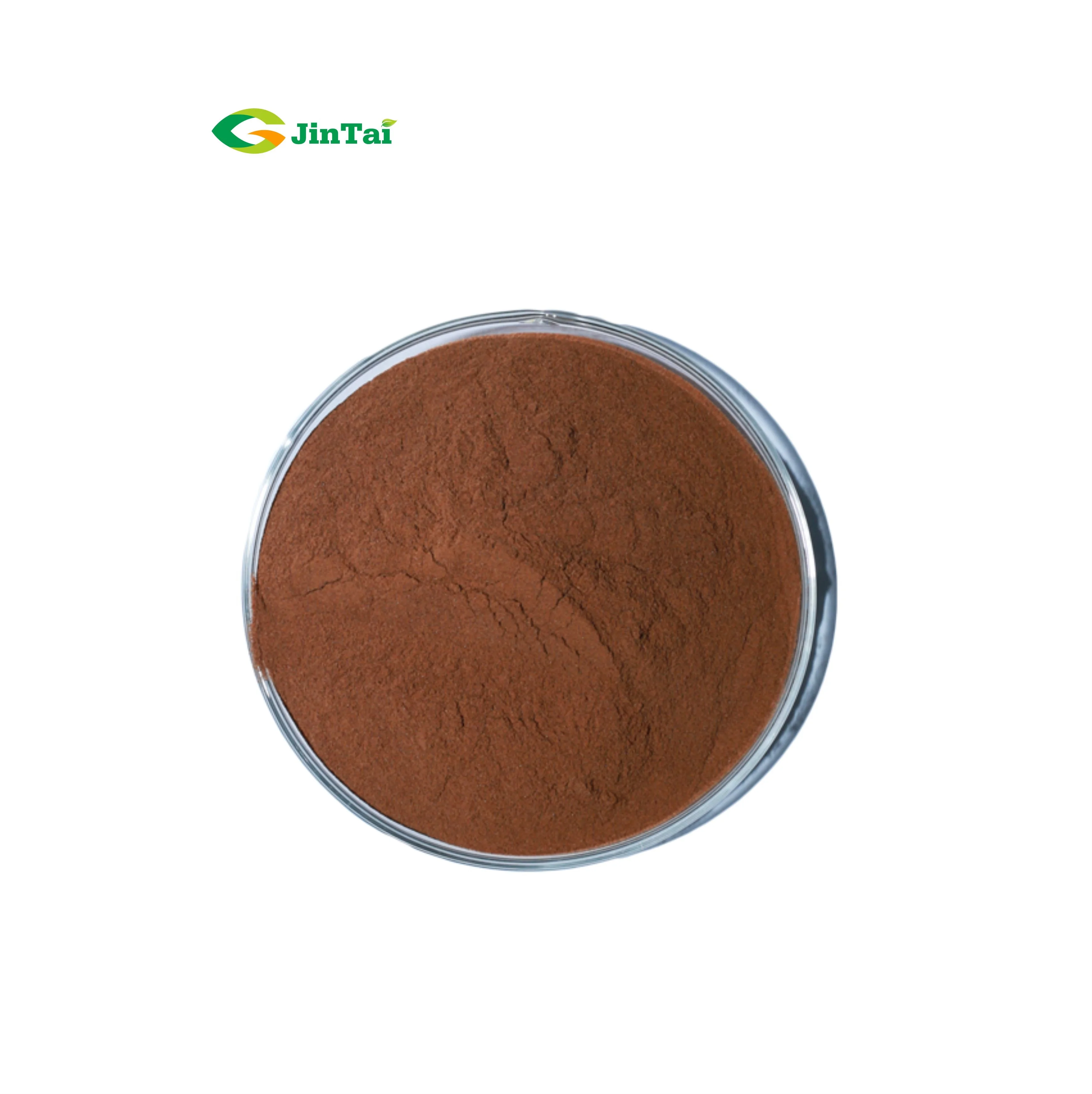 Ganoderma Lucidum Extract Powder - Reishi Mushroom Benefits