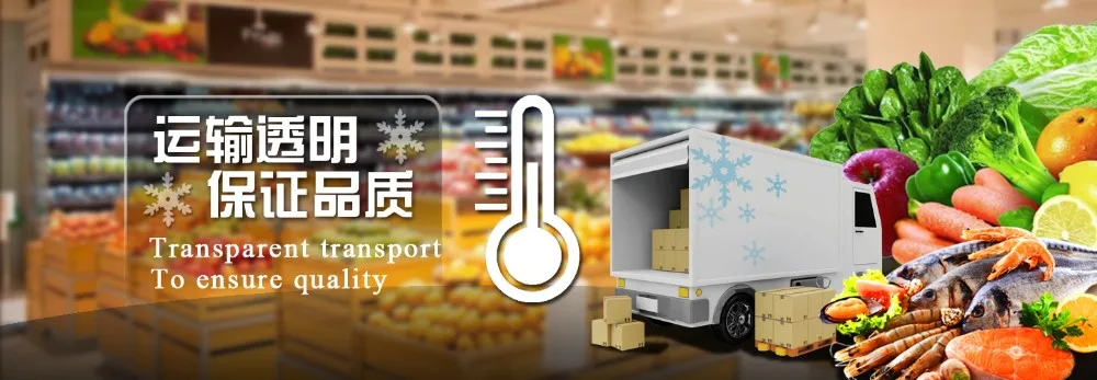 Monitor Temperatura - Reliable Cold Chain Thermometers