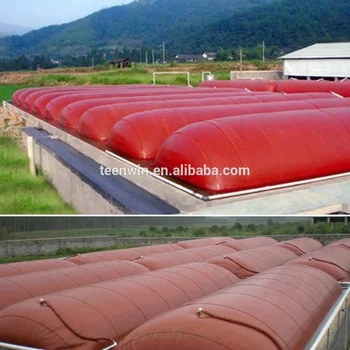 Teenwin Factory Price Biogas Plastic Bag Digester - Buy Biogas Plastic ...