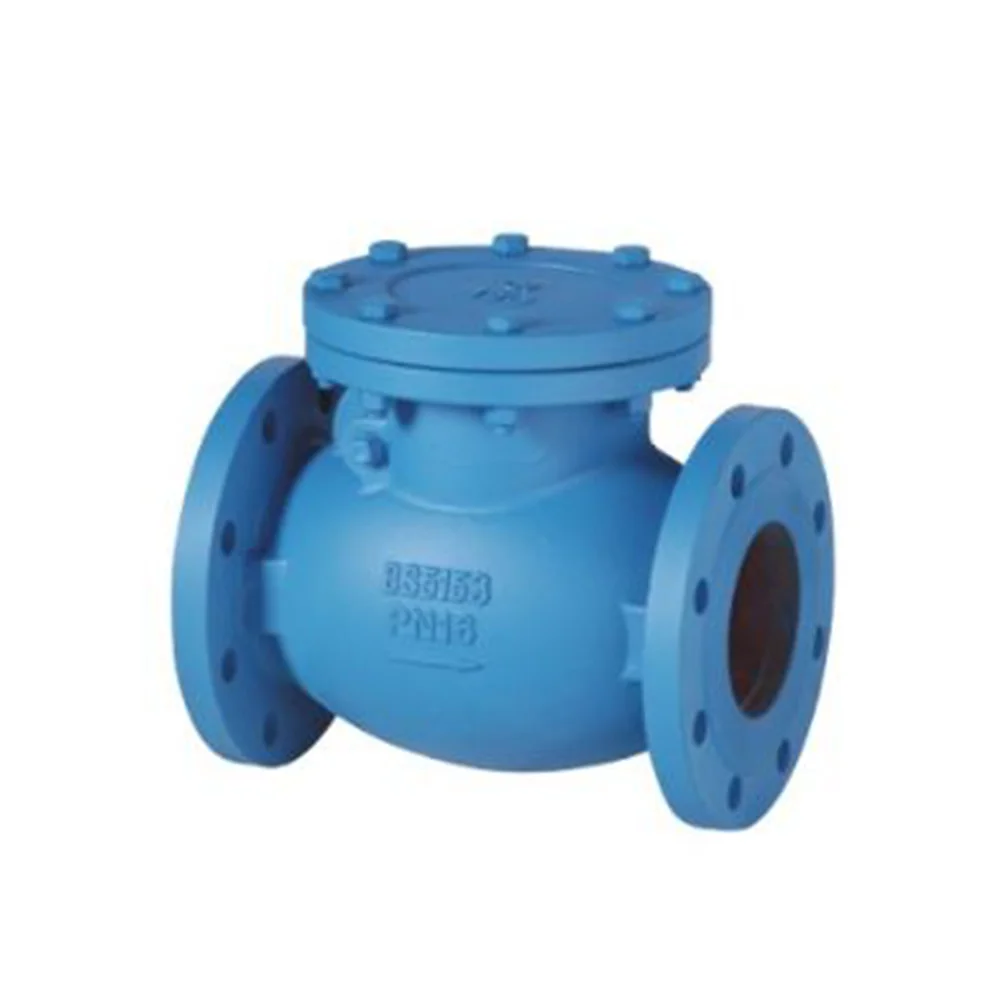 Swing Check Valves Din Pn 16 - 25 - 40 Cast Steel Flanged Butt Weld ...