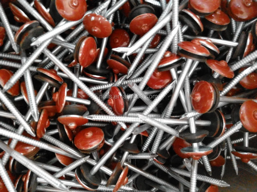 Roofing Screw Nails Plain Plastic Cap Ring Shank Galvanized Roofing ...