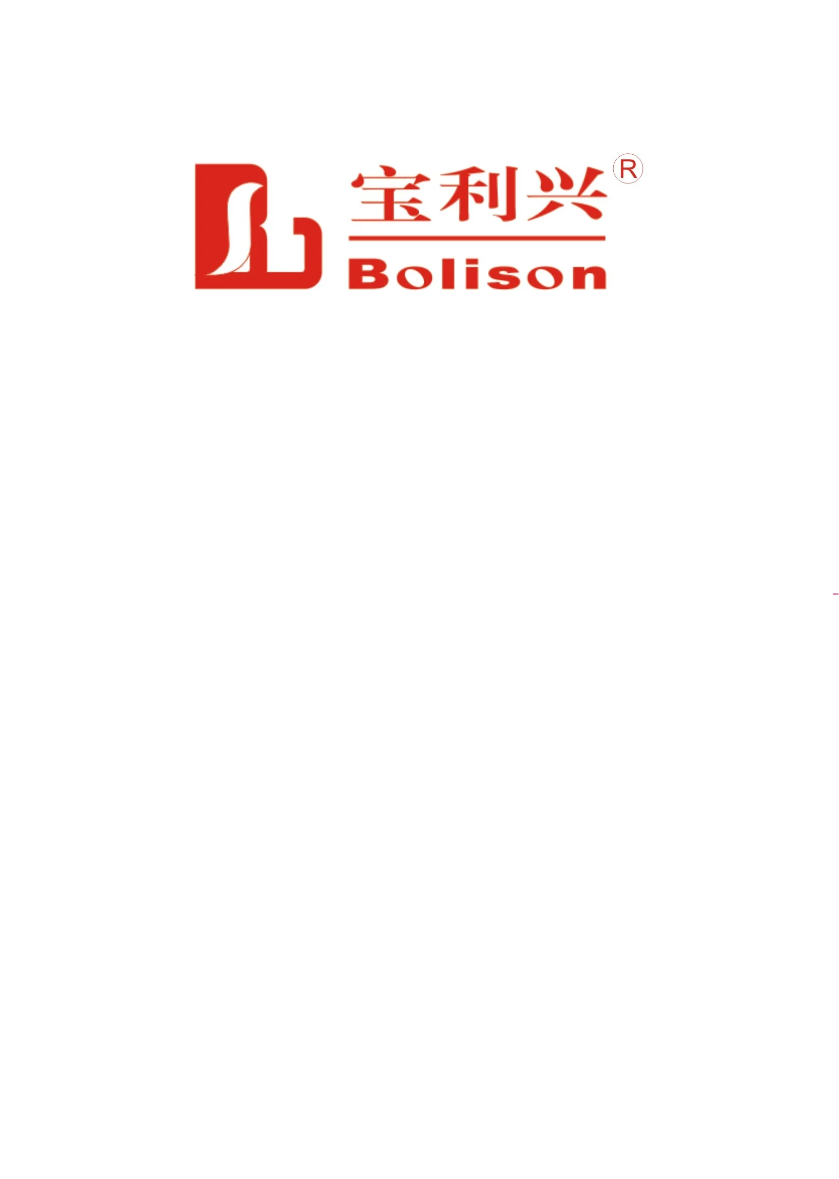 Company Overview - Guangdong Bolison Technology Co., Ltd.