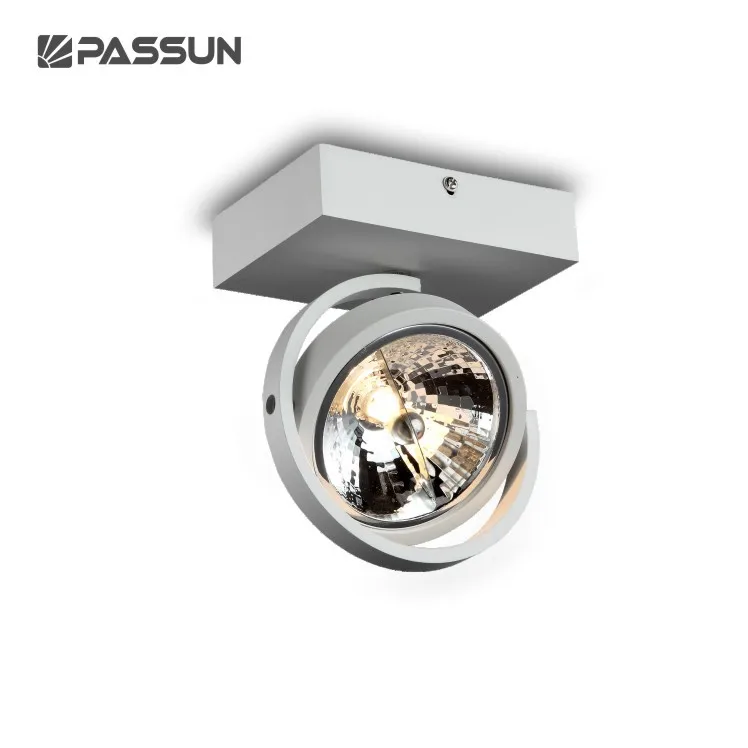 Surface Mounted AR111 35w - Easy Changed Halogen Spot Light