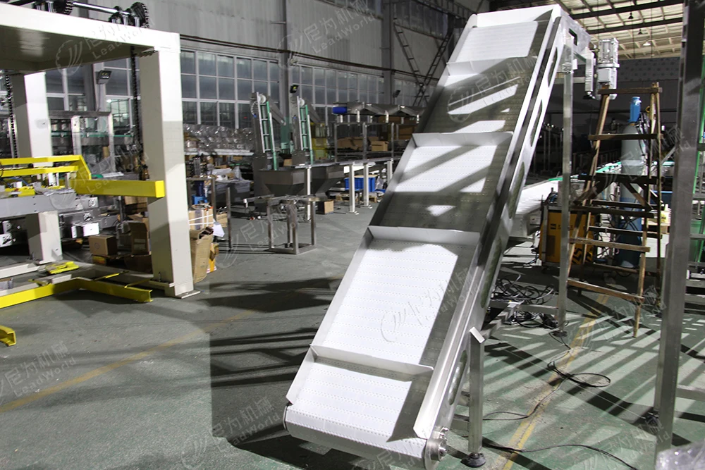 Leadworld Assembly Line Equipment - Z Type Bucket Conveyor