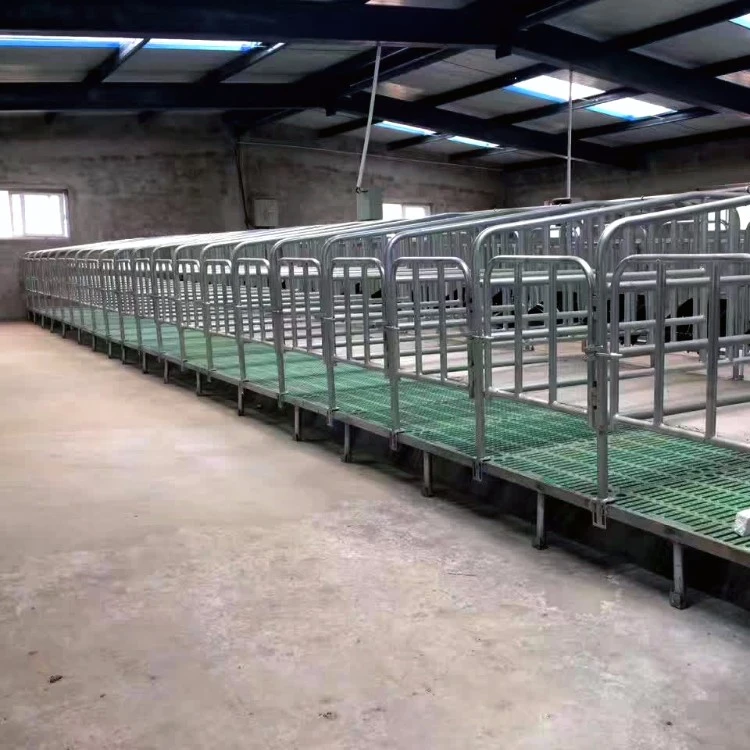 Pig Farm Design Sow Gestation Pen| Alibaba.com