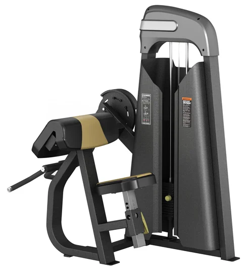 Xinrui High End Arm Curl Machine 3 Plate Loaded Seated Biceps Curl for ...