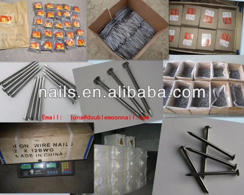 Reasonable Price Iron Common Nails Tack Nails 2 Inch Common Wire Nail ...