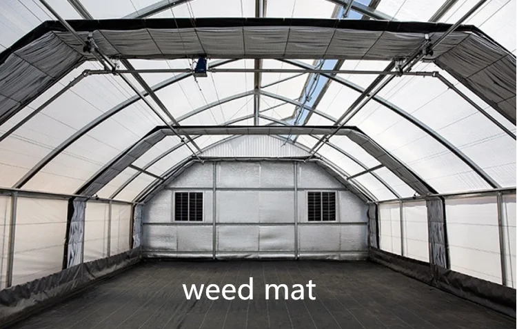 Galvanized Steel Frame Single Span PE Film Greenhouse