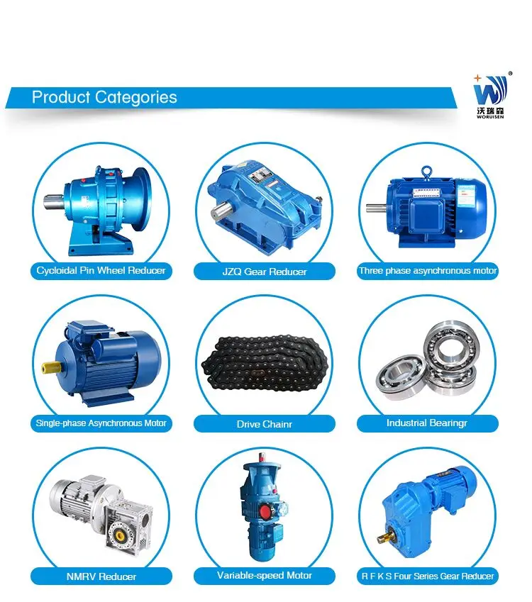 Woruisen Vertical Cycloidal Pinwheel Reducer - Various Speed Ratios
