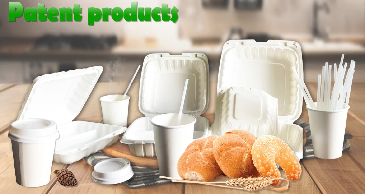 Takeout Container Disposable Biodegradable Hard Togo Foam Mfpp ...