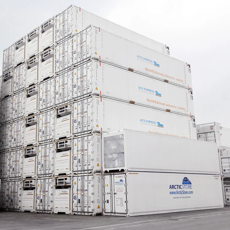 45 Feet Frozen Shipping Container - Thermo King Reefer