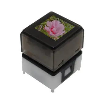 Lakeview Dsp Oled Lcd Display Screen Programmable Momentary Silent Push ...
