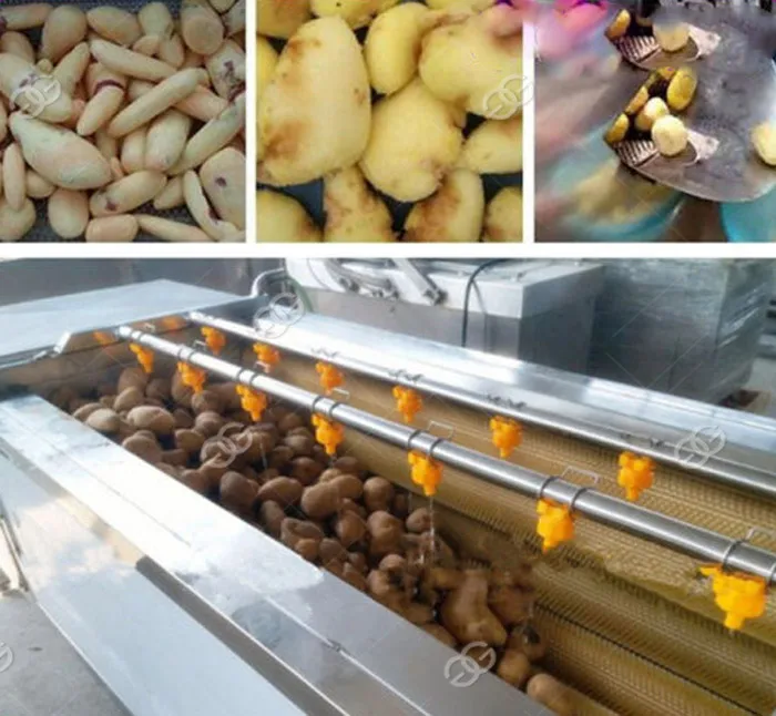 Shell Washing Machine / Seashell Cleaning Machine / Fanshell Washer And ...