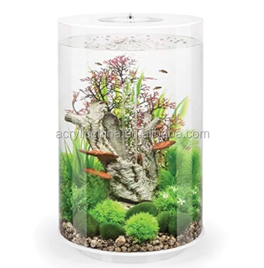 Clear Acrylic Fish Tank Desk Cylinder Unique Fish Tank Flower Vase For ...