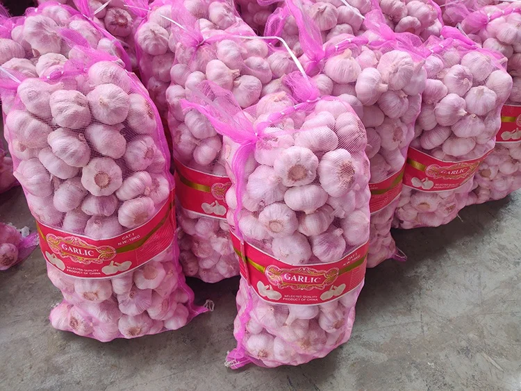 10kg Mesh Bag Fresh Garlic - Top Grade from Shandong China