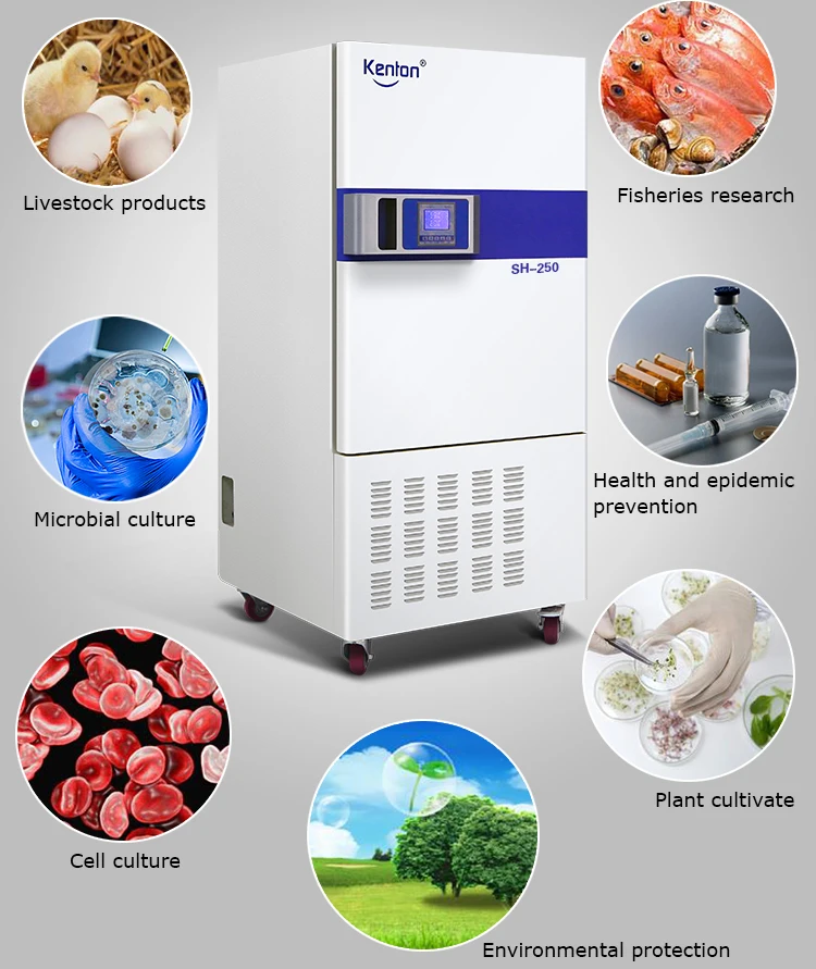 Insect Incubator Biochemical Incubator Laboratory Instrument Equipment ...