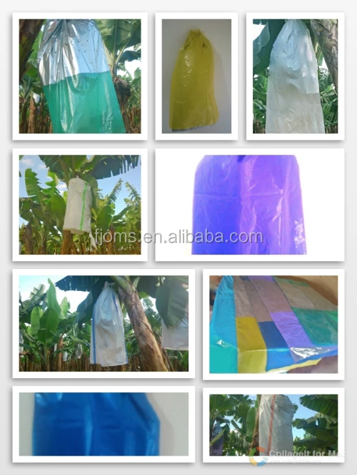 Plastic Banana Film - Durable, Recyclable & Customizable