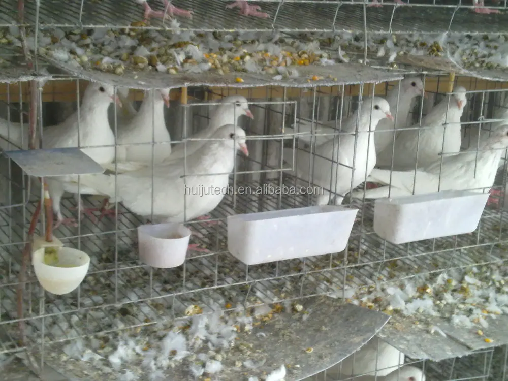 32 Cells Racing Pigeon Equipment - Durable & Customizable