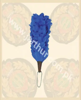 Hackles and Plumes Masonic Products - Ostrich Feathers Dyed