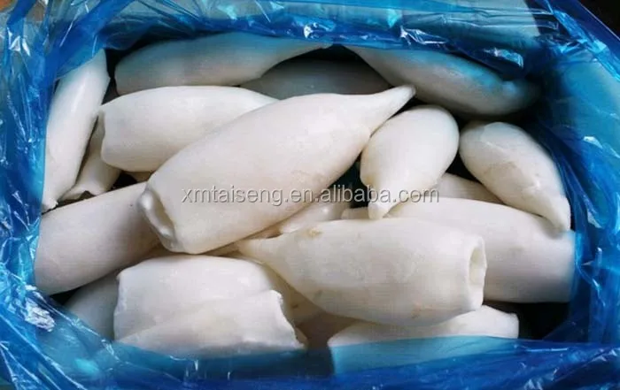 Frozen Squid Tube U10 - Nutritious and Natural Seafood