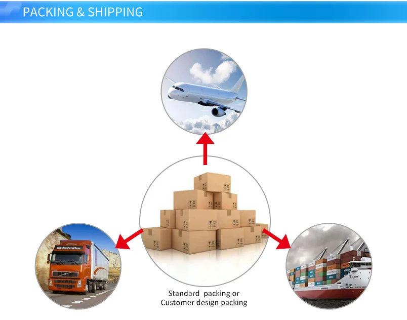 10 Inch Utp 12 Ports Patch Panel Cat5e Cat6 Cat6a Utp 12 Ports Patch ...