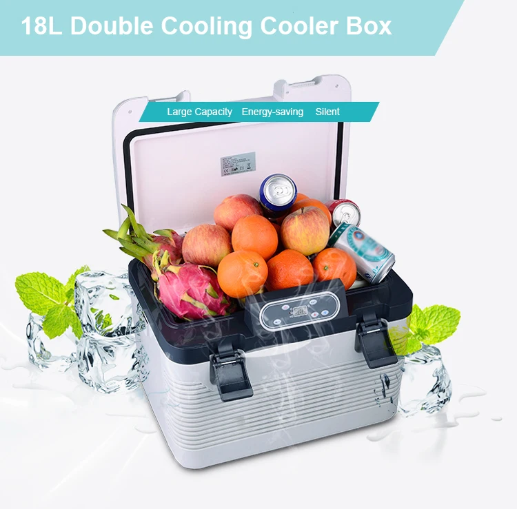 18L Portable Medical Injection Blood Transport Vaccine Cooler Box for ...