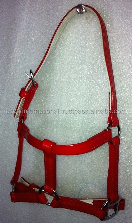 Hot Selling Pvc Horse Halter With Adjustable Buckle For Wholesale ...