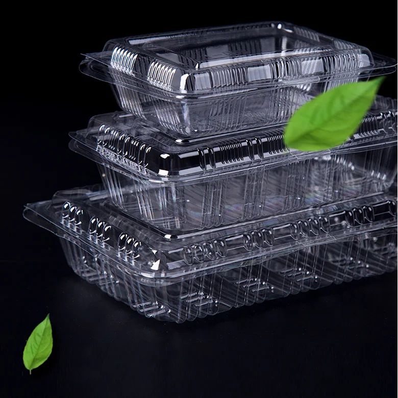 Wholesale Sushi Take Out Container,Disposable Plastic Sushi Containers ...