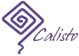 Company Overview - Calisto