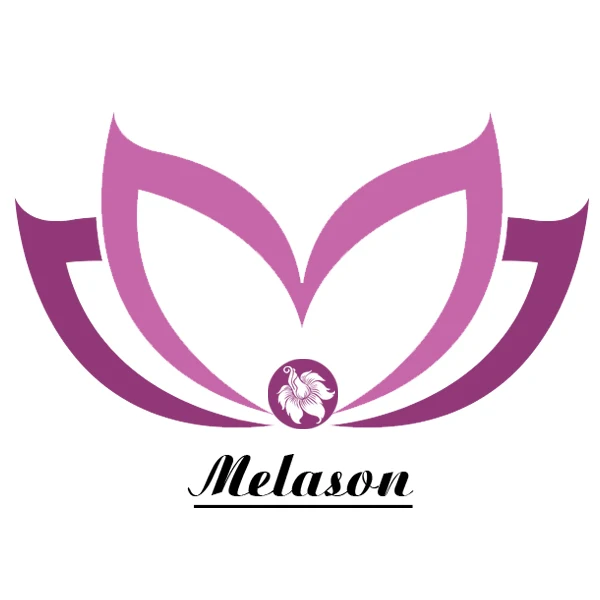 Company Overview - Shenzhen Melason Cosmetics Tools Co., Ltd.