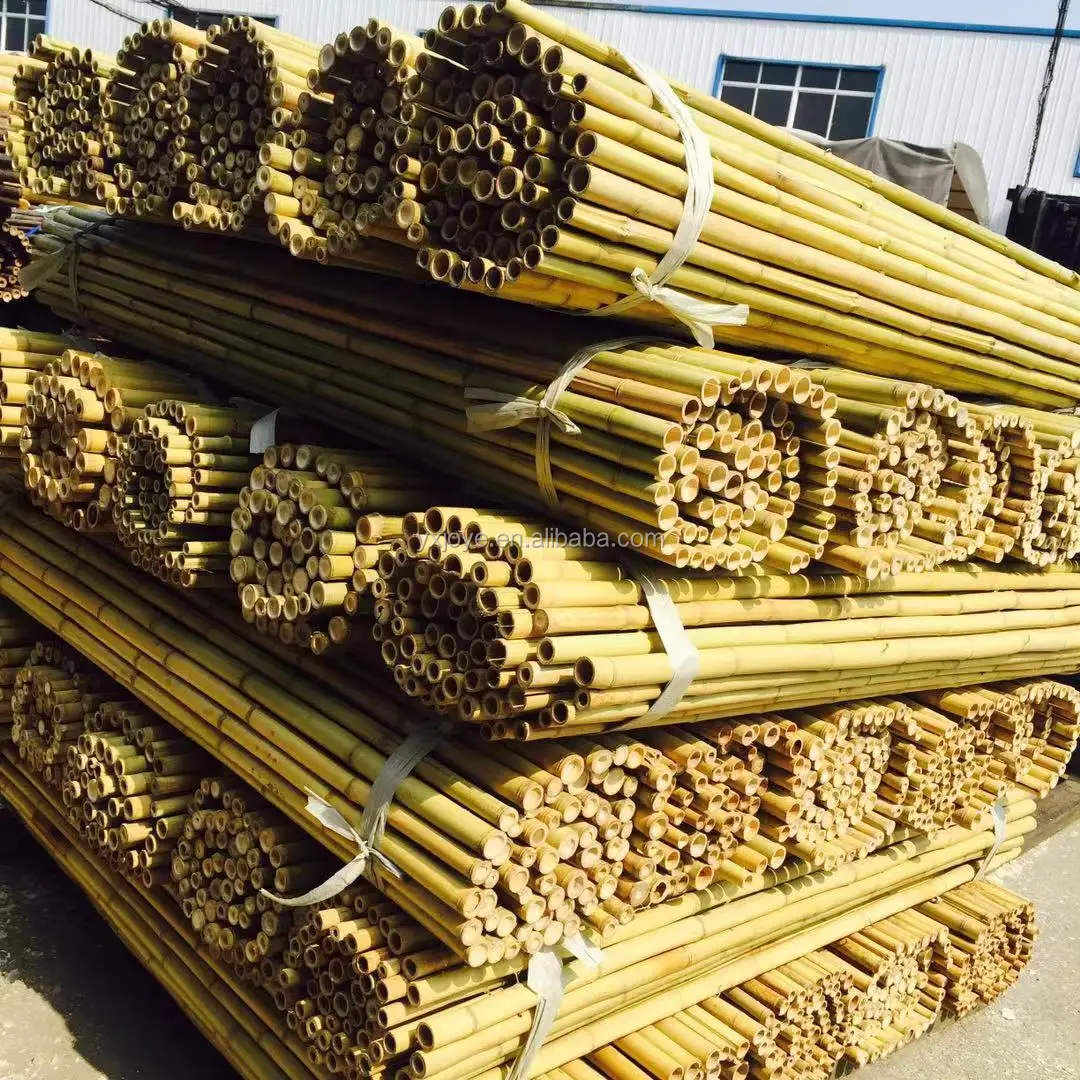 Cheap Bamboo Fence with Good Quality for Garden - ECO FRIENDLY