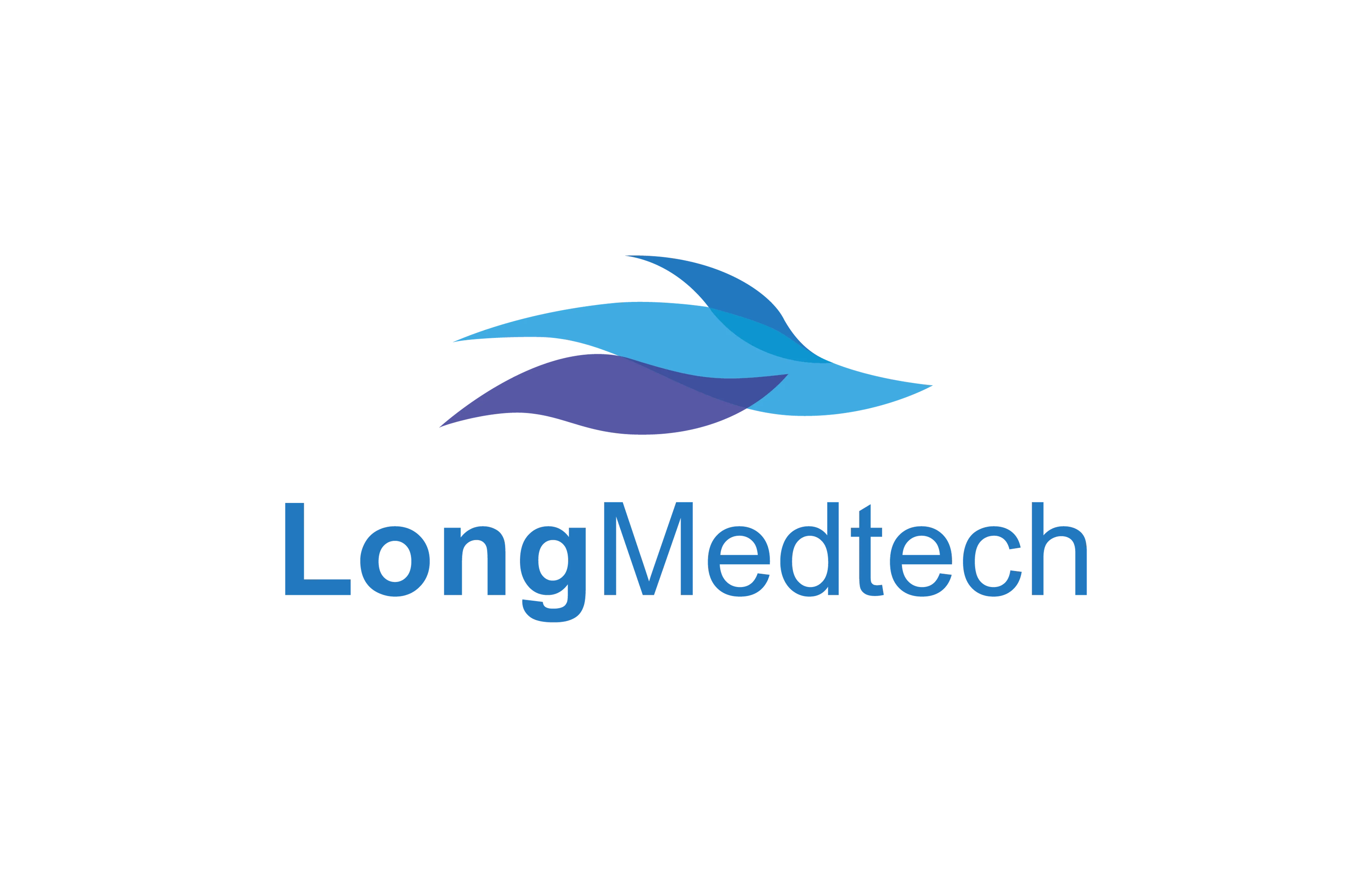 Company Overview - Nanjing Long Medical Technology Co., Ltd.